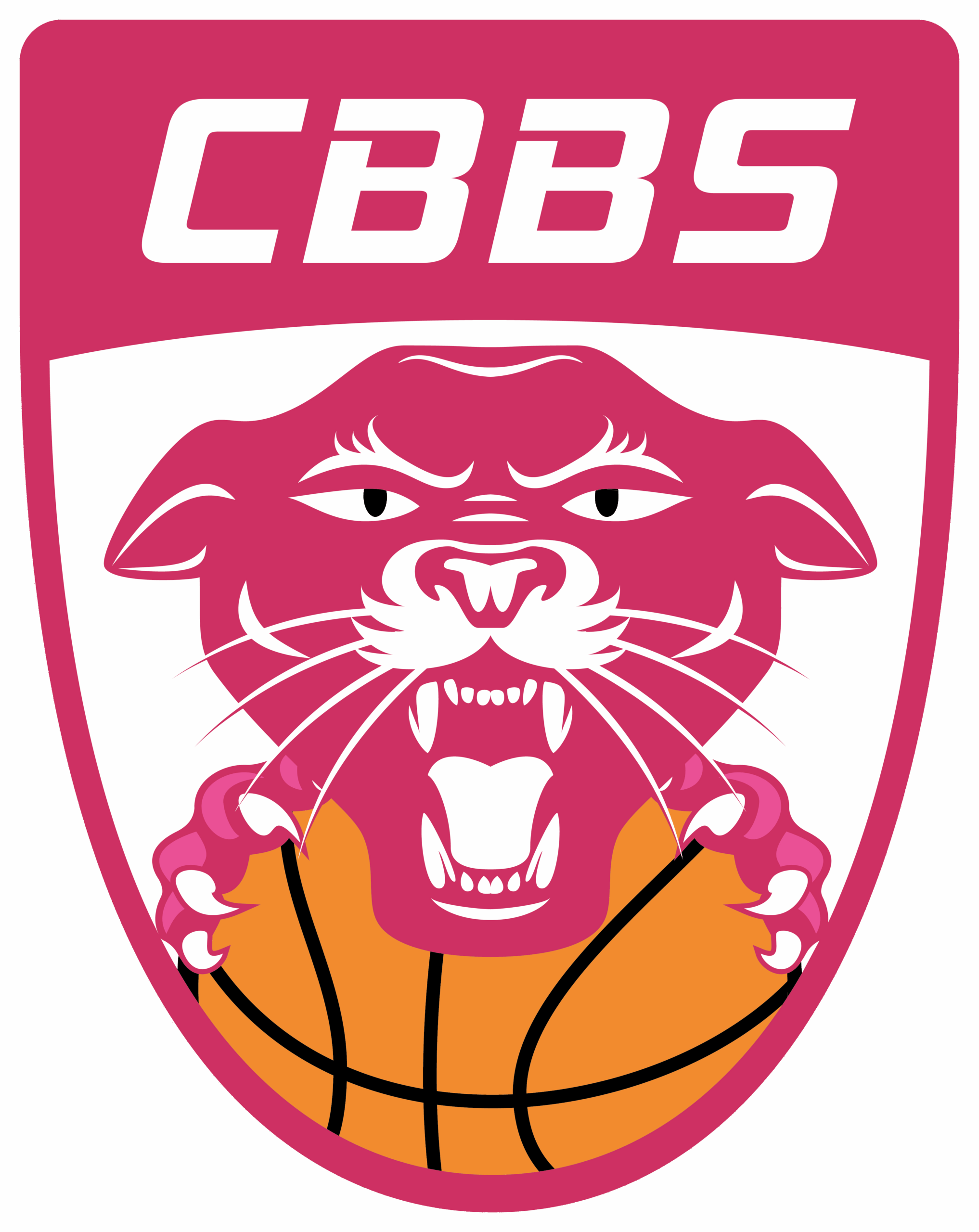 Calendrier – LDLC ASVEL FÉMININ